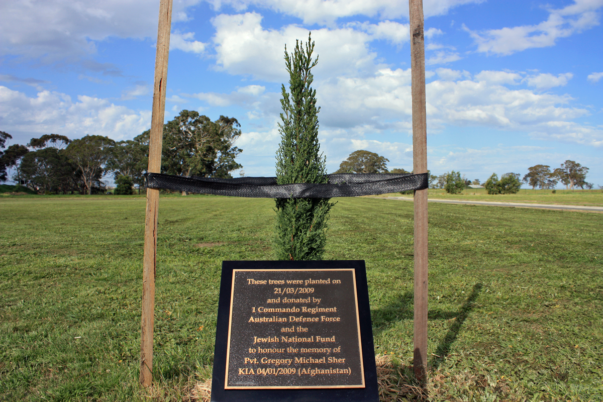 Unveiling | In Memory of Greg Sher