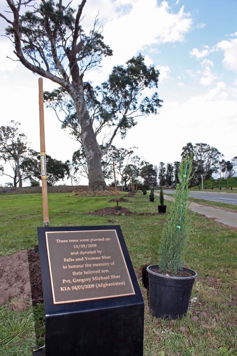 Unveiling | In Memory of Greg Sher