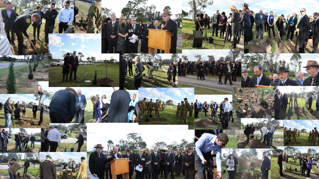 Unveiling | In Memory of Greg Sher